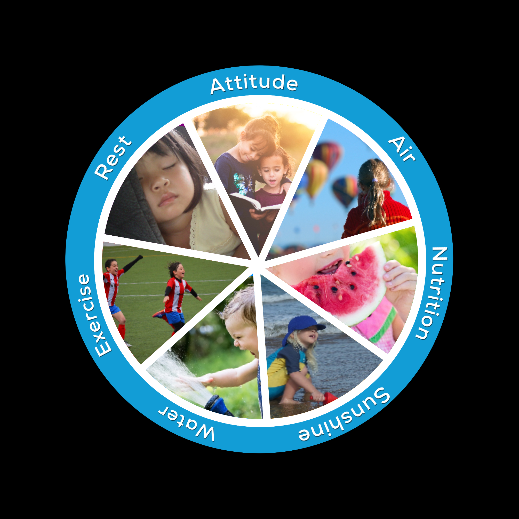 Lesson 5: Create your own Health Wheel - It Takes 7